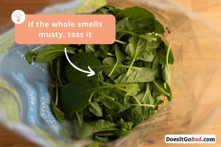 How to Tell if Spinach Is Bad? [5 Signs of Spoilage] - Does It Go Bad?
