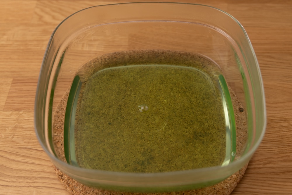 Does Jello Go Bad - Does It Go Bad?