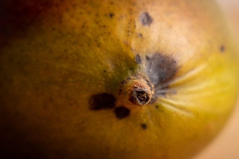 How Long Do Mangoes Last and How to Tell if They’re Bad? - Does It Go Bad?