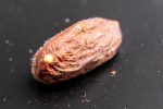 How Long Do Nuts Last? Storage & Shelf Life of Nuts - Does It Go Bad?