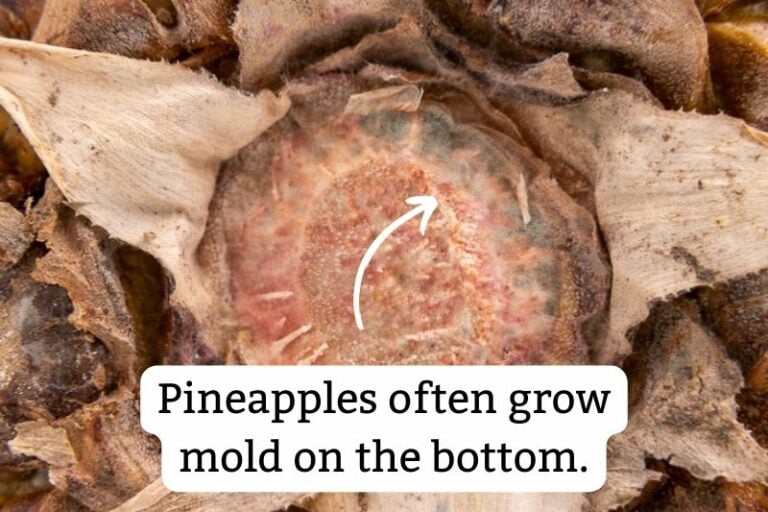 How Long Do Pineapples Last and How To Tell If One is Bad? - Does It Go ...