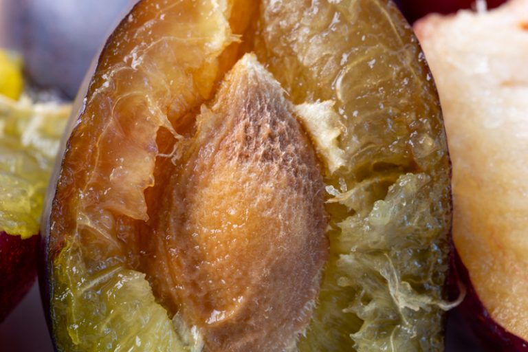 How Long Do Plums Last and How to Tell if They’re Bad? - Does It Go Bad?