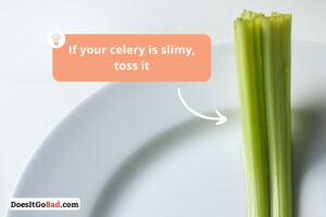 How to Tell if Celery is Bad? [3 Spoilage Signs] - Does It Go Bad?