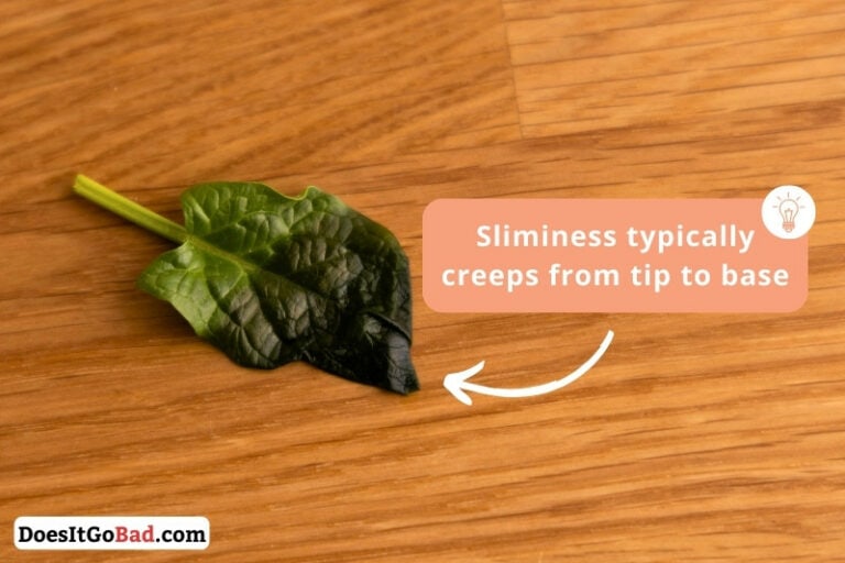 How to Tell if Spinach Is Bad? [5 Signs of Spoilage] - Does It Go Bad?